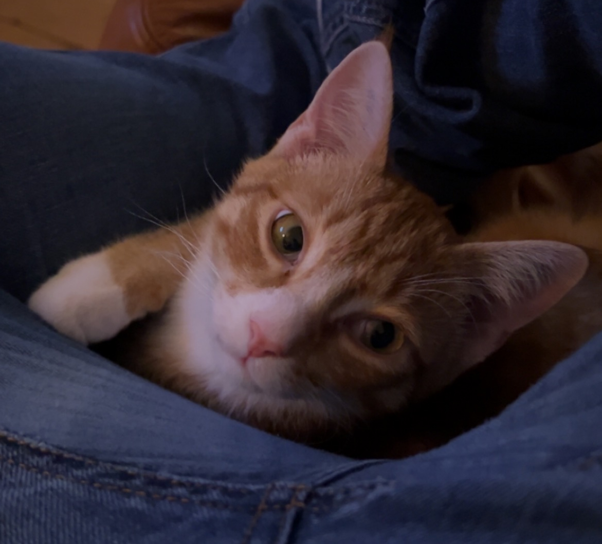 Kom på en date med René Kirk